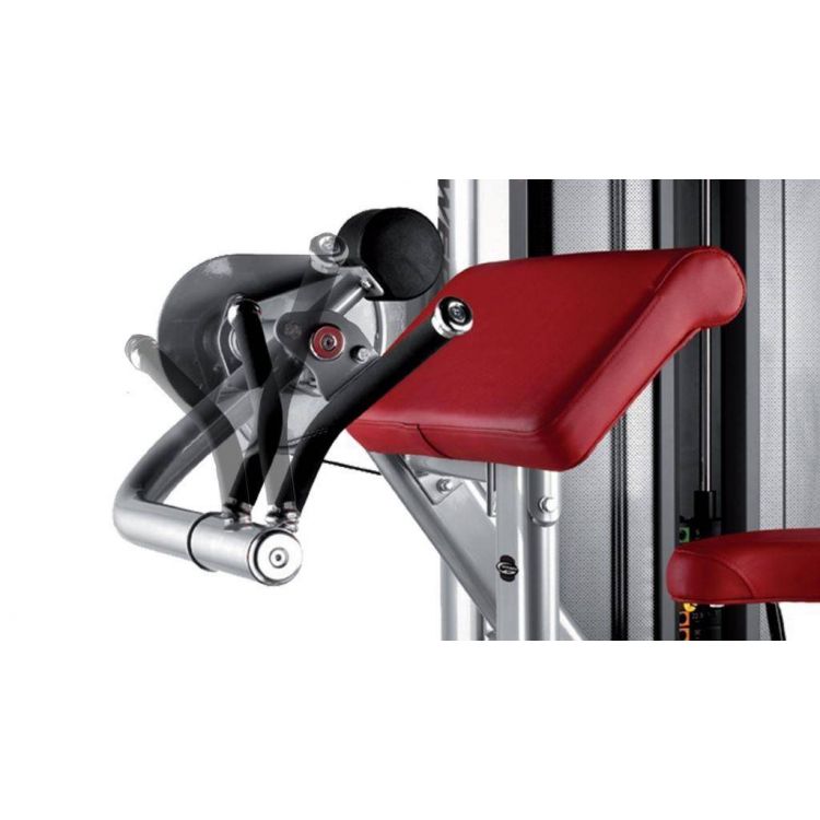 Larry Scott biceps curl BH L130 - Postes Biceps triceps - Musculation